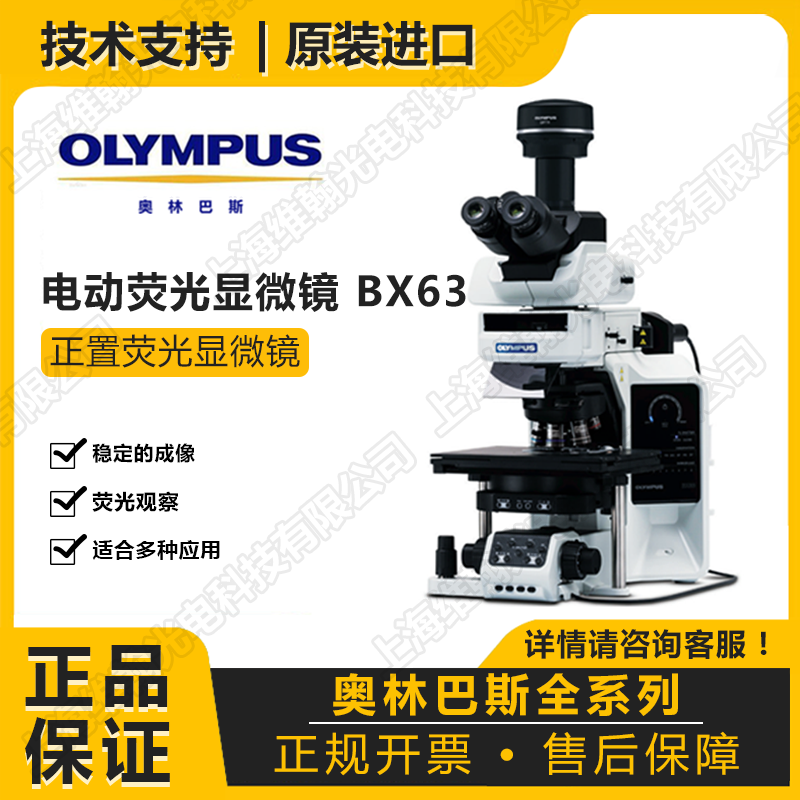 奥林巴斯显微镜BX63 维翰光电 电动荧光 明场、暗场等 产品关键词:奥林巴斯bx63;bx63荧光;bx63奥林巴斯
