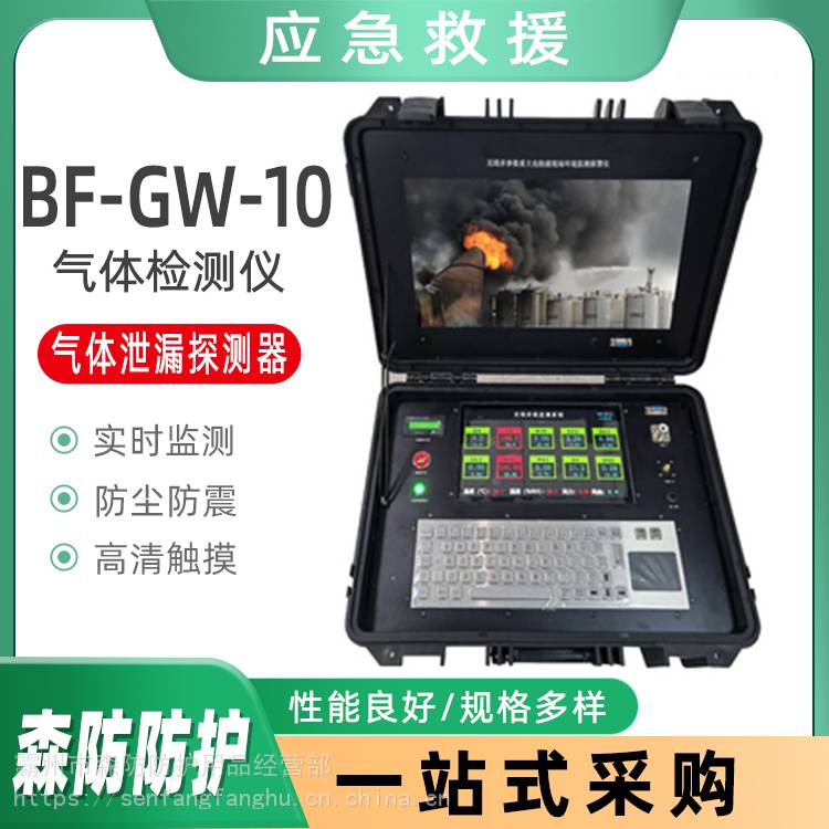 无线复合气体检测仪BF-GW-10复合式检测报警仪四合一气体检测仪 产品关键词:gw气体检测