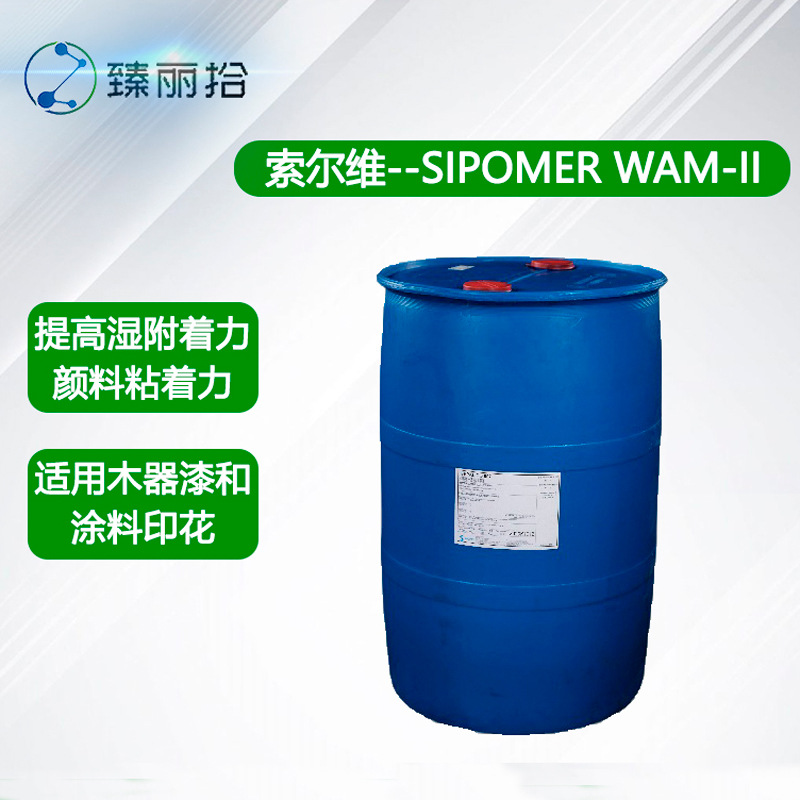 索尔维特种功能单体SIPOMER WAM-II木器漆涂料印花丙烯酸颜料膏