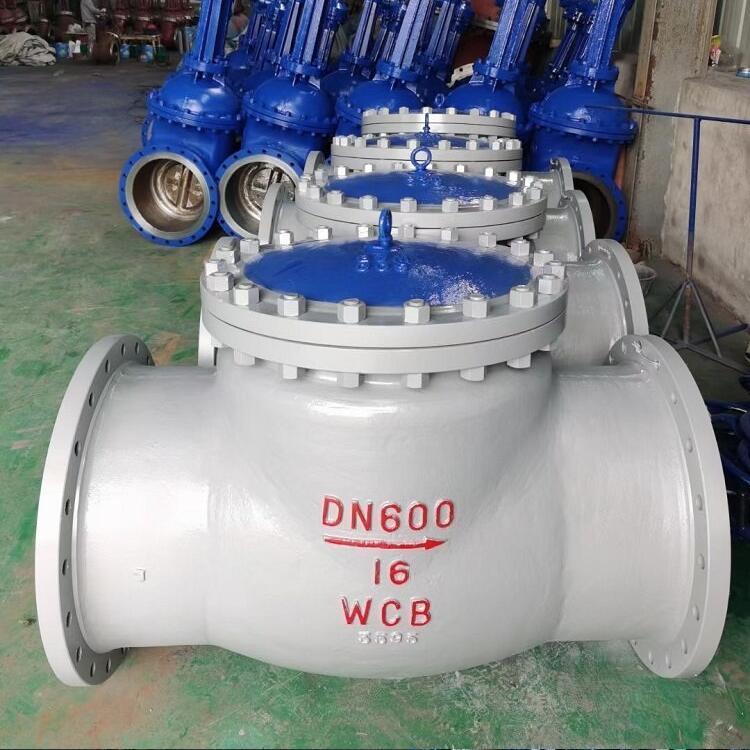 CHVJ沧海H45H-16C国标升降式直流式Y型止回阀