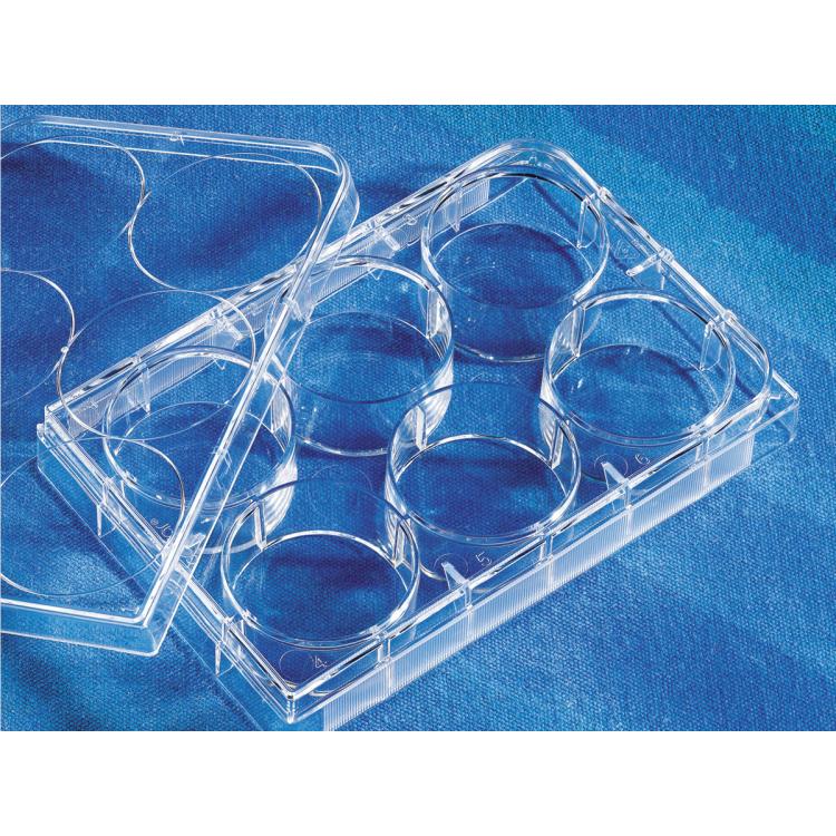Corning康宁 生物耗材 t25培养瓶 细胞培养 TC表面， 透气盖 灭菌 430639 产品关键词:康宁t25细胞培养瓶430639;康 ...