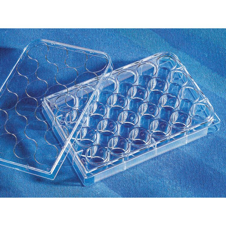 Corning康宁 生物耗材 t25培养瓶 细胞培养 TC表面， 透气盖 灭菌 430639 产品关键词:康宁t25细胞培养瓶430639;康 ...