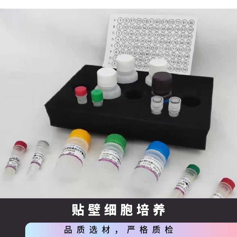 普利莱 贴壁得®（细胞贴壁粘附剂200x 可替代多聚赖氨酸）C1010 - 百度爱采购