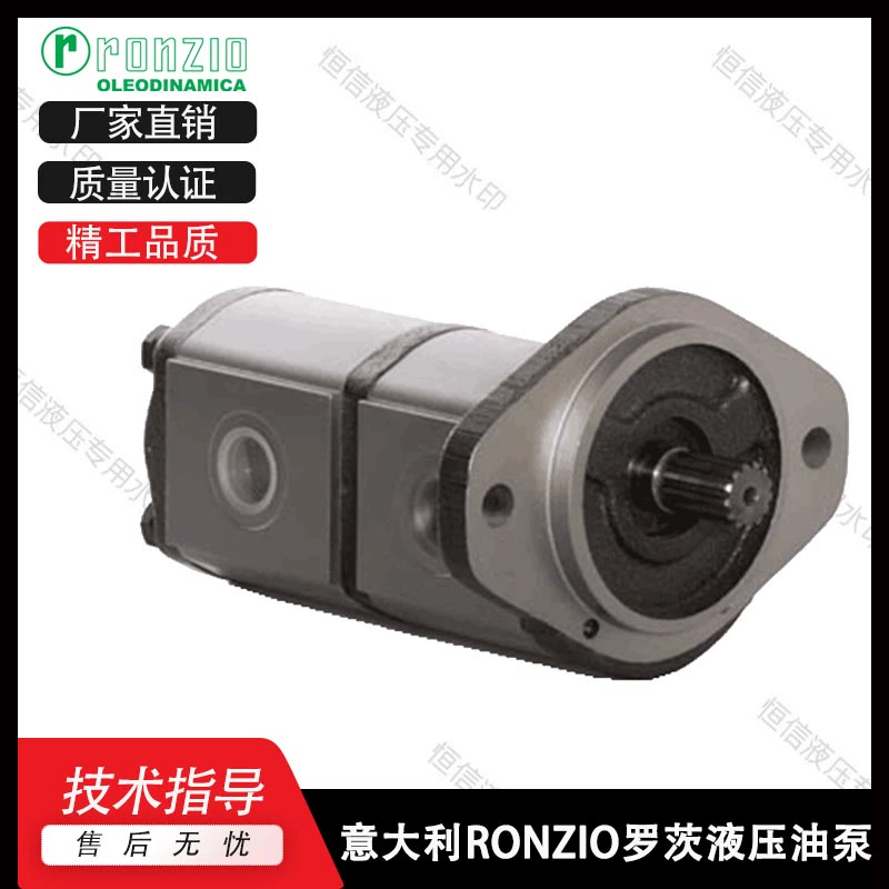 RONZIO罗茨液压齿轮泵02Z/02ZMG04/06/08/11/14/17/20/25/31油泵