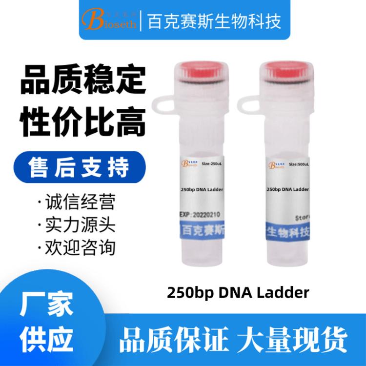 250bp DNA Ladder 分子生物学试剂 实验科研用试剂