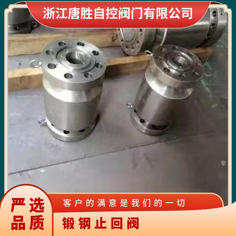 唐胜阀门 H42H 高压立式锻钢止回阀 石油化工油田专用阀