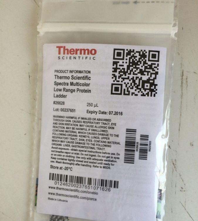 赛默飞PageRuler 预染蛋白分子量标准试剂 26616