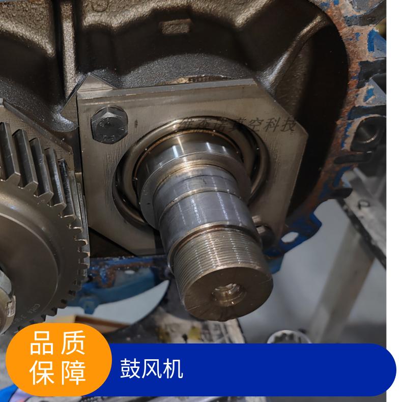 意大利ROBUSCHI鲁布斯奇罗茨式鼓风机维修RBS75/SP-UNI/ANSI上门 - 百度爱采购
