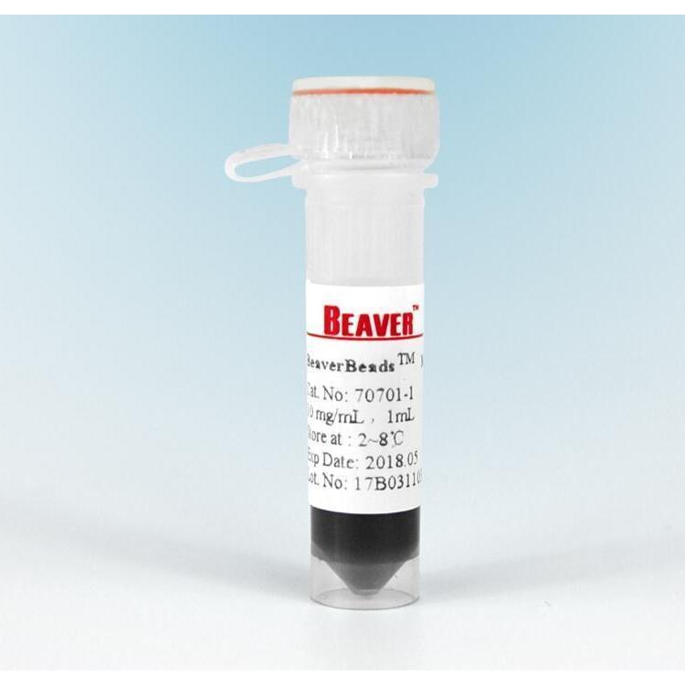 海狸 70702-50 Beaver NHS琼脂糖磁珠(30-150 μm) 50 mL, 20%(v/v)