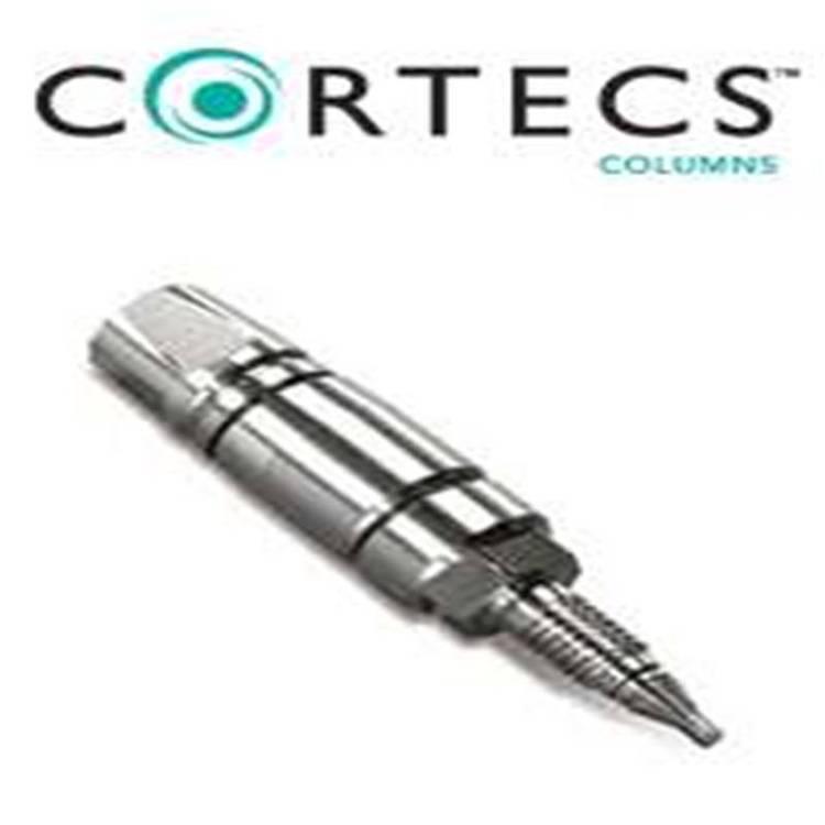 沃特世Waters ACQUITY CSH 苯己基色谱柱 1.7 μm 2.1 x 150 mm 186005408